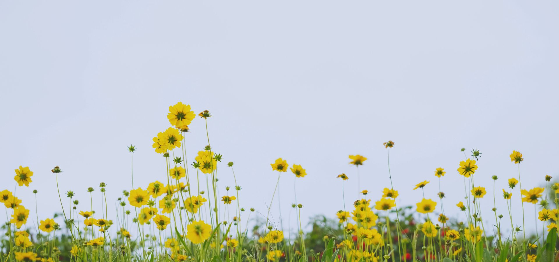 GOD-REALIZATION: A DIVINE GIFT | CPS GLOBAL